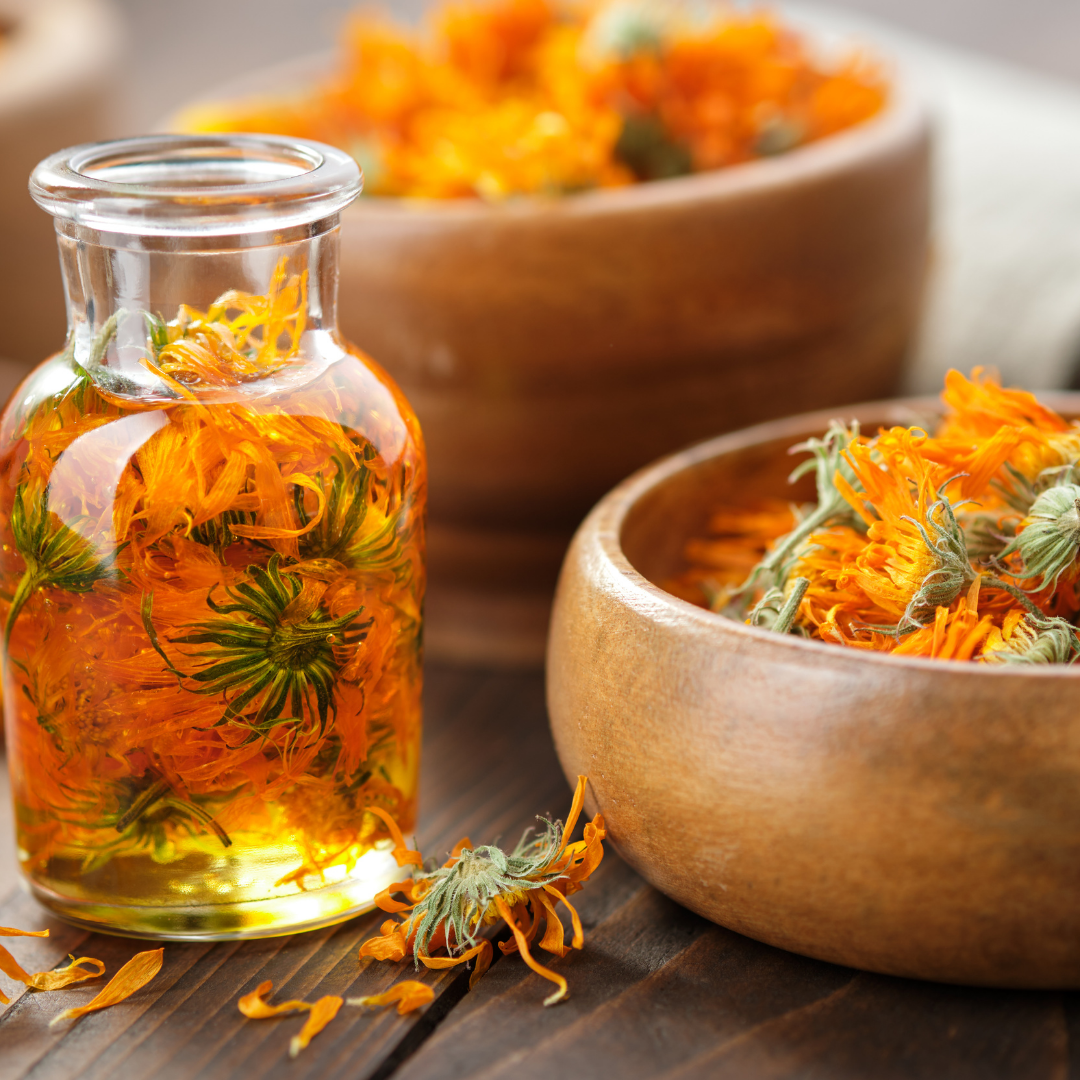 Calendula oil is a natural oil extracted from marigold flowers ...