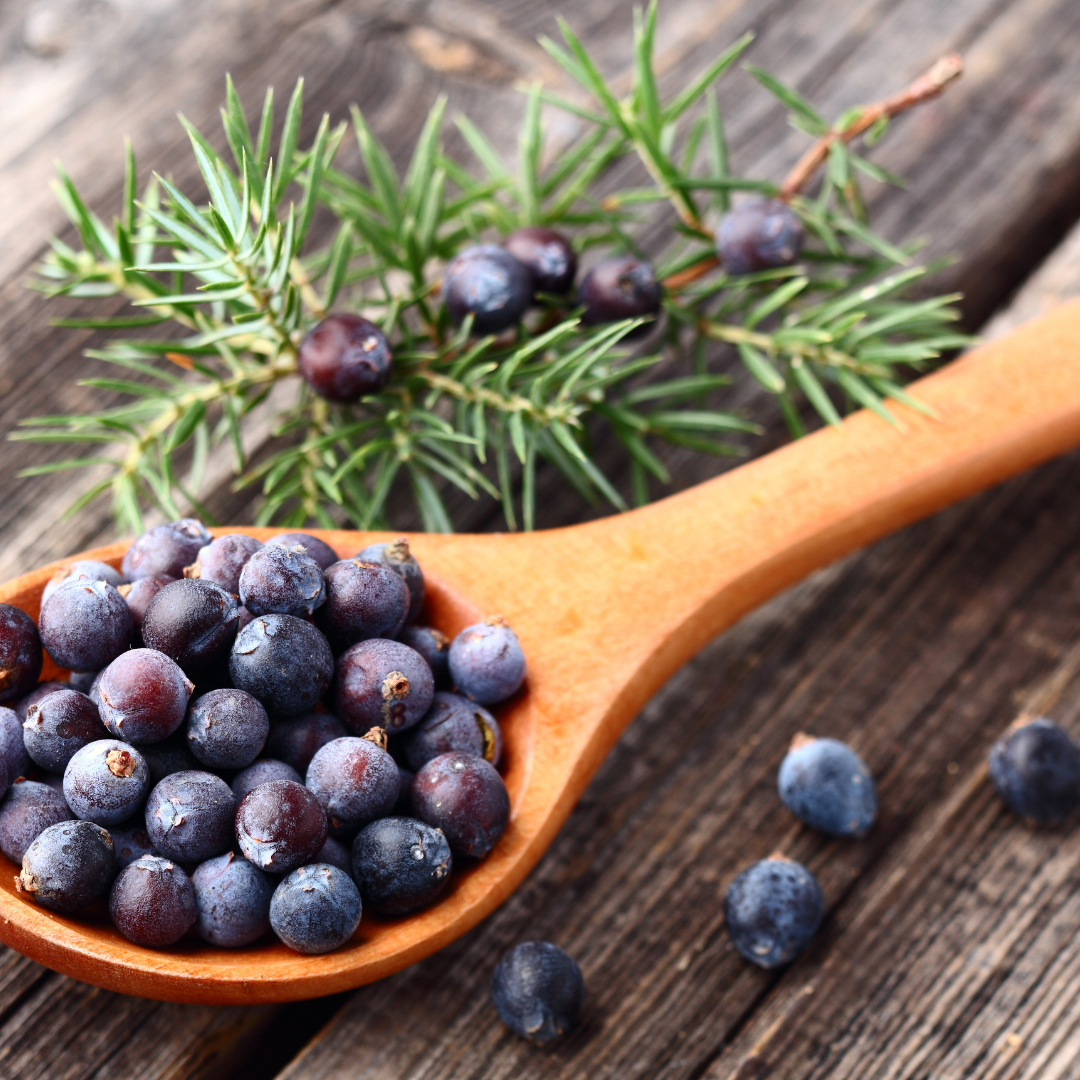 Juniper Berry Hydrosol – My Store