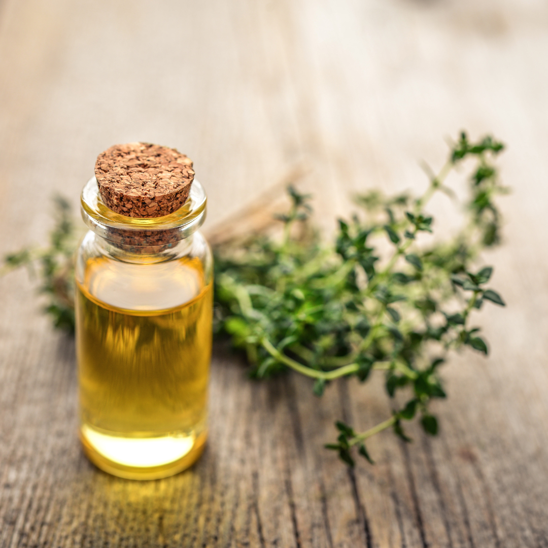 Thyme Oil – My Store