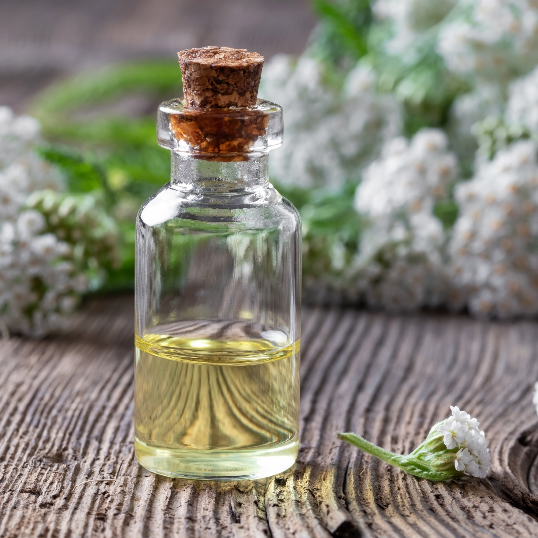 Yarrow Oil – My Store